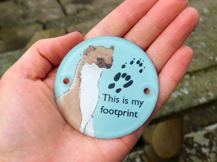 Mount Grace Priory, House and Gardens